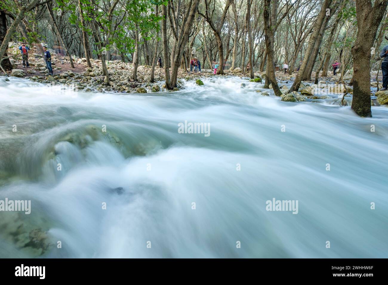 Wood fonts hi-res stock photography and images - Alamy