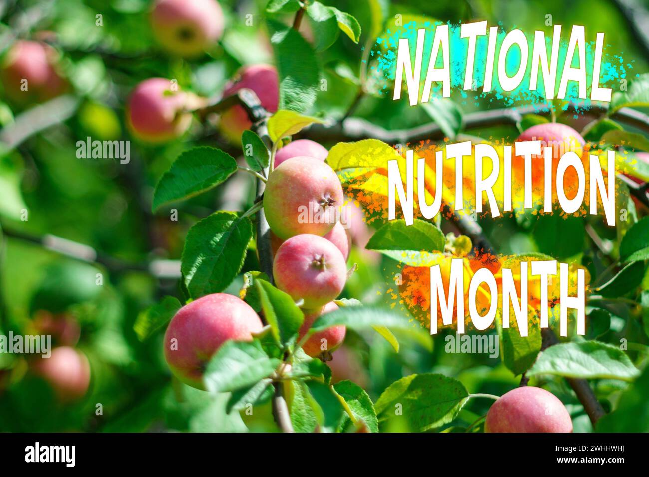 National nutrition month hi-res stock photography and images - Alamy