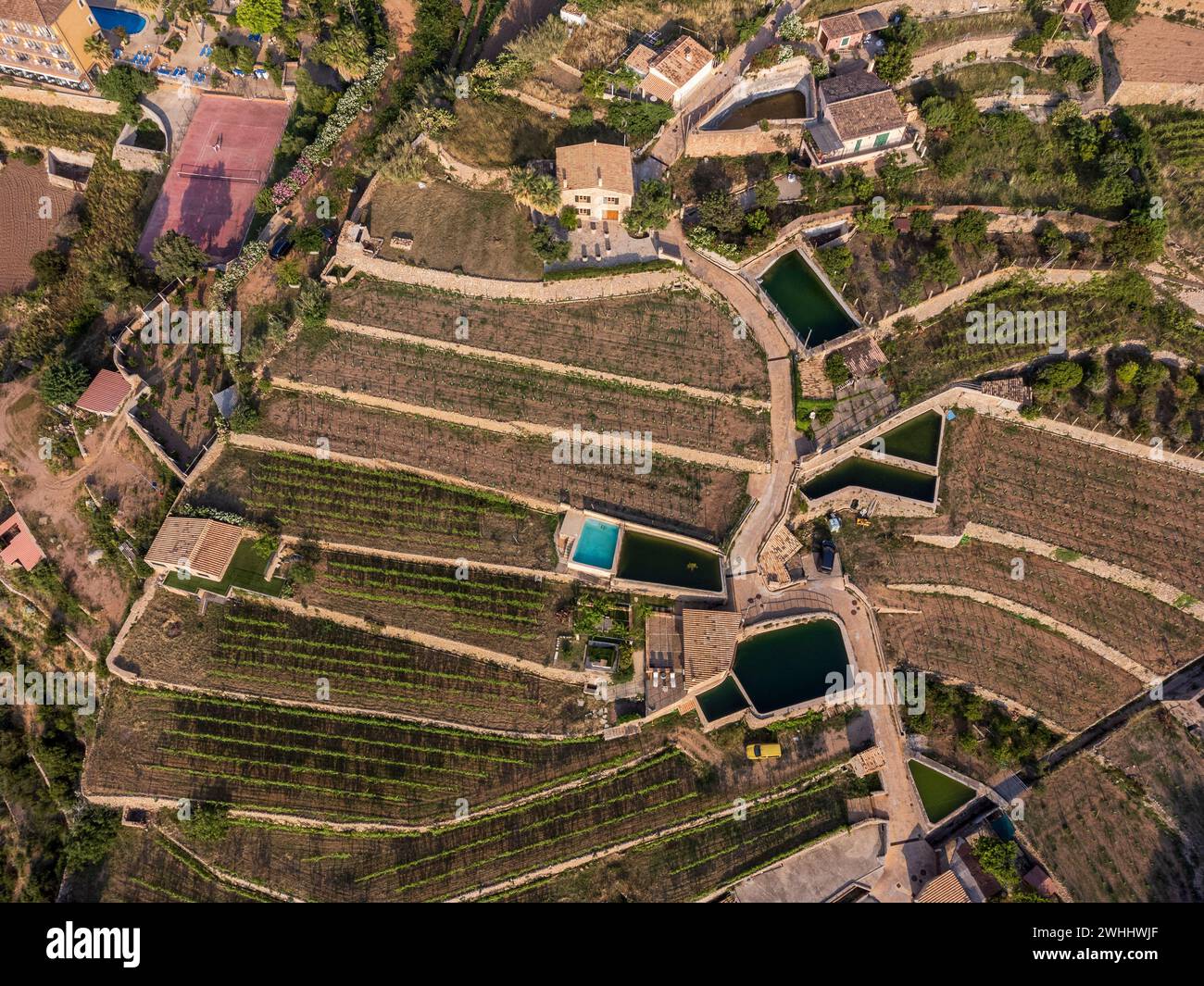 Human cultivation hi-res stock photography and images - Alamy