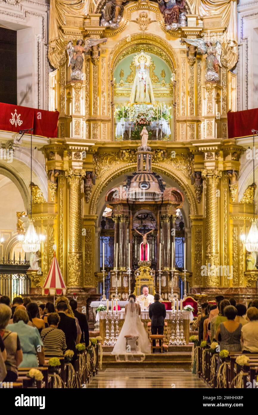 Basilica de Santa Maria, siglo XVII, ,barroco valenciano, Elche ...