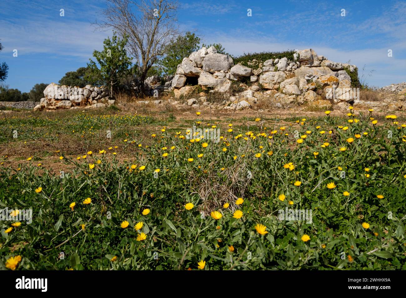 Talayotic culture hi-res stock photography and images - Alamy
