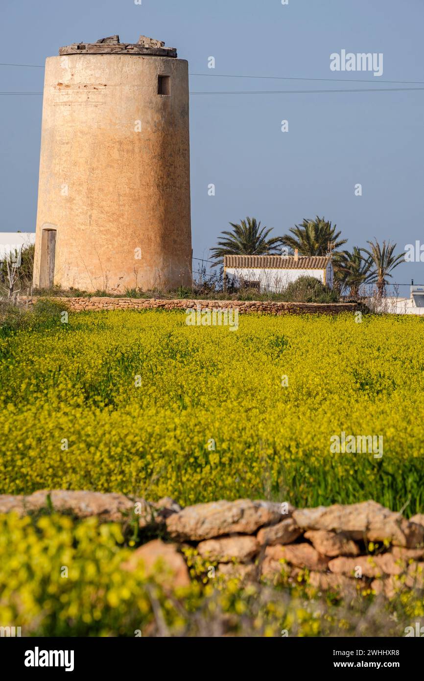 Formentera food hi-res stock photography and images - Alamy