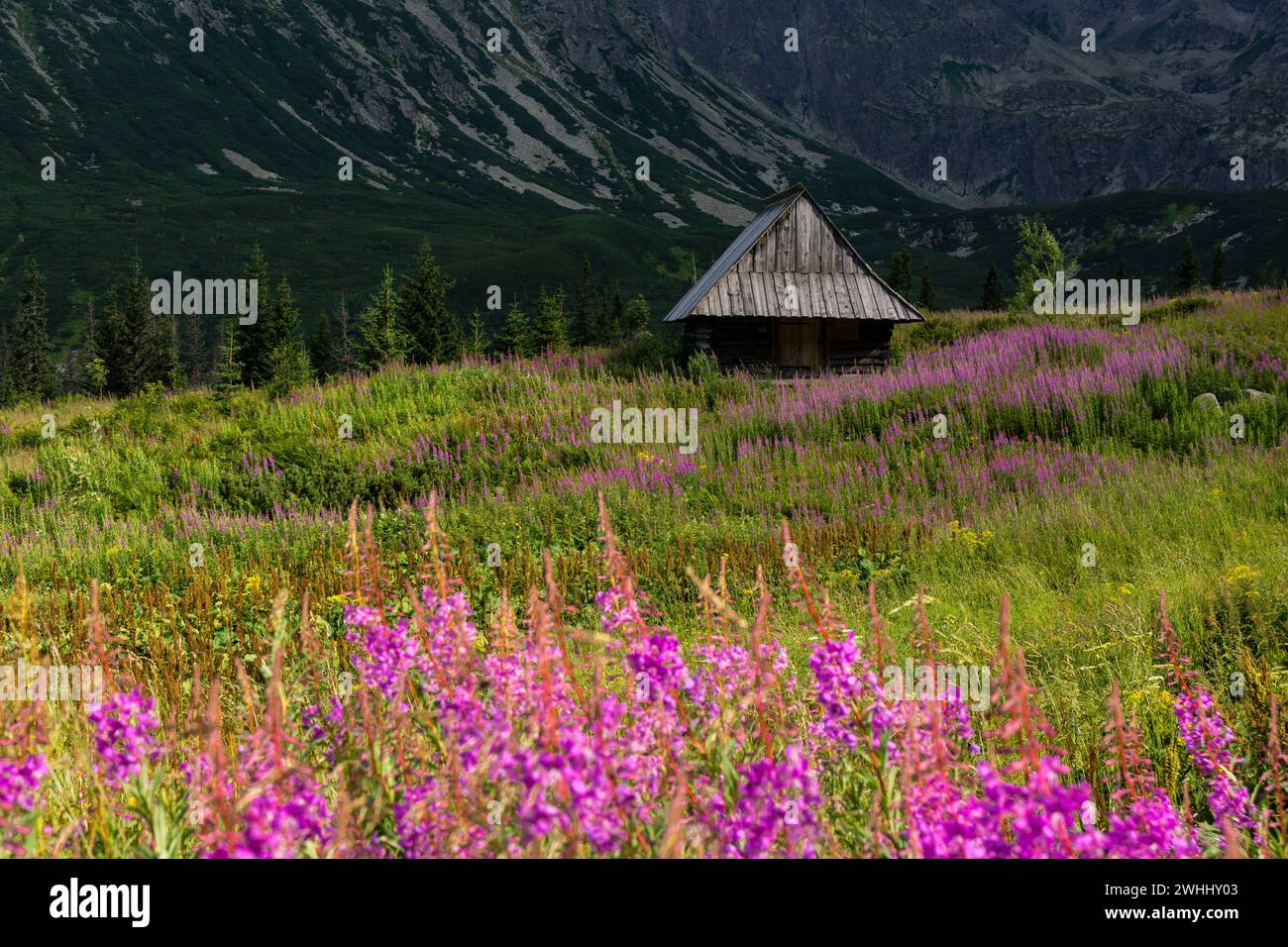 Cruise the road course hi-res stock photography and images - Alamy