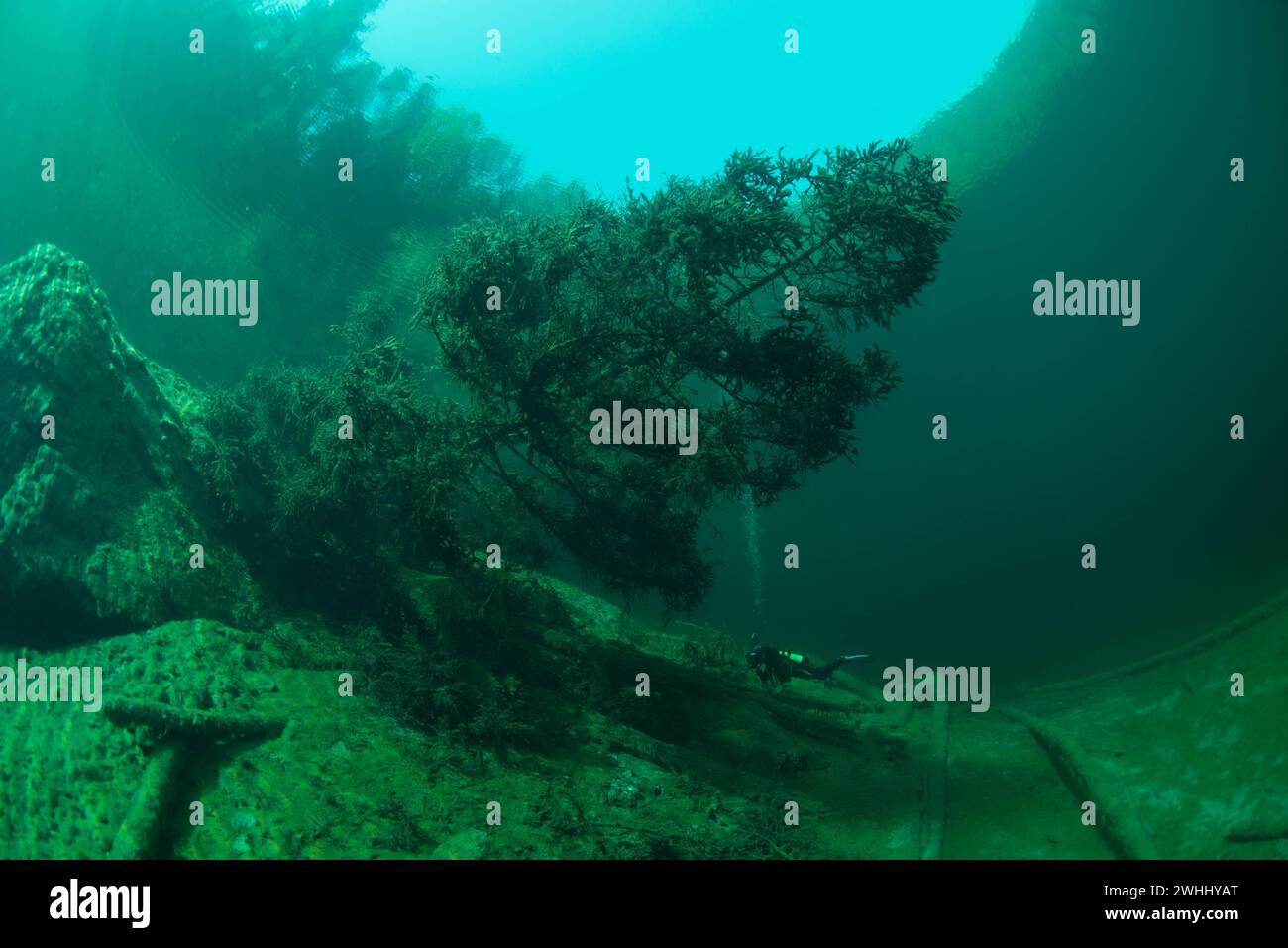 Mountain Lake - underwater Stock Photo - Alamy