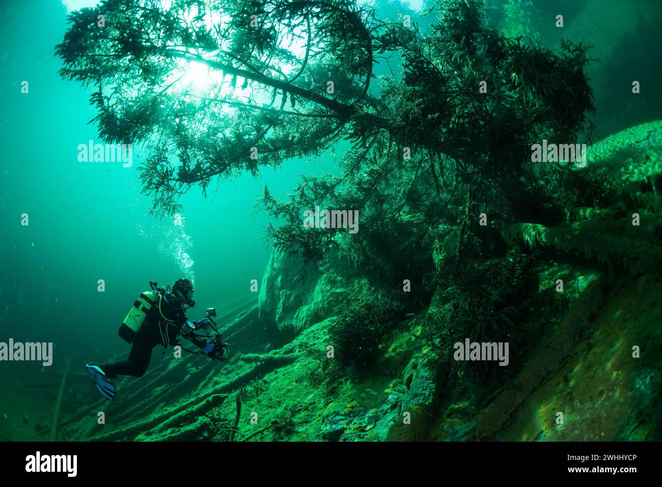 Mountain Lake - underwater Stock Photo - Alamy