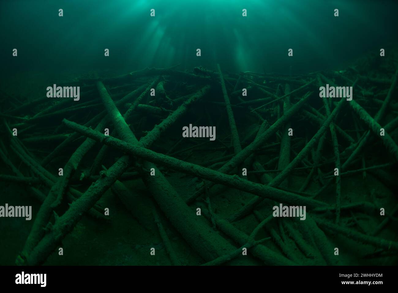 Mountain Lake - underwater Stock Photo - Alamy