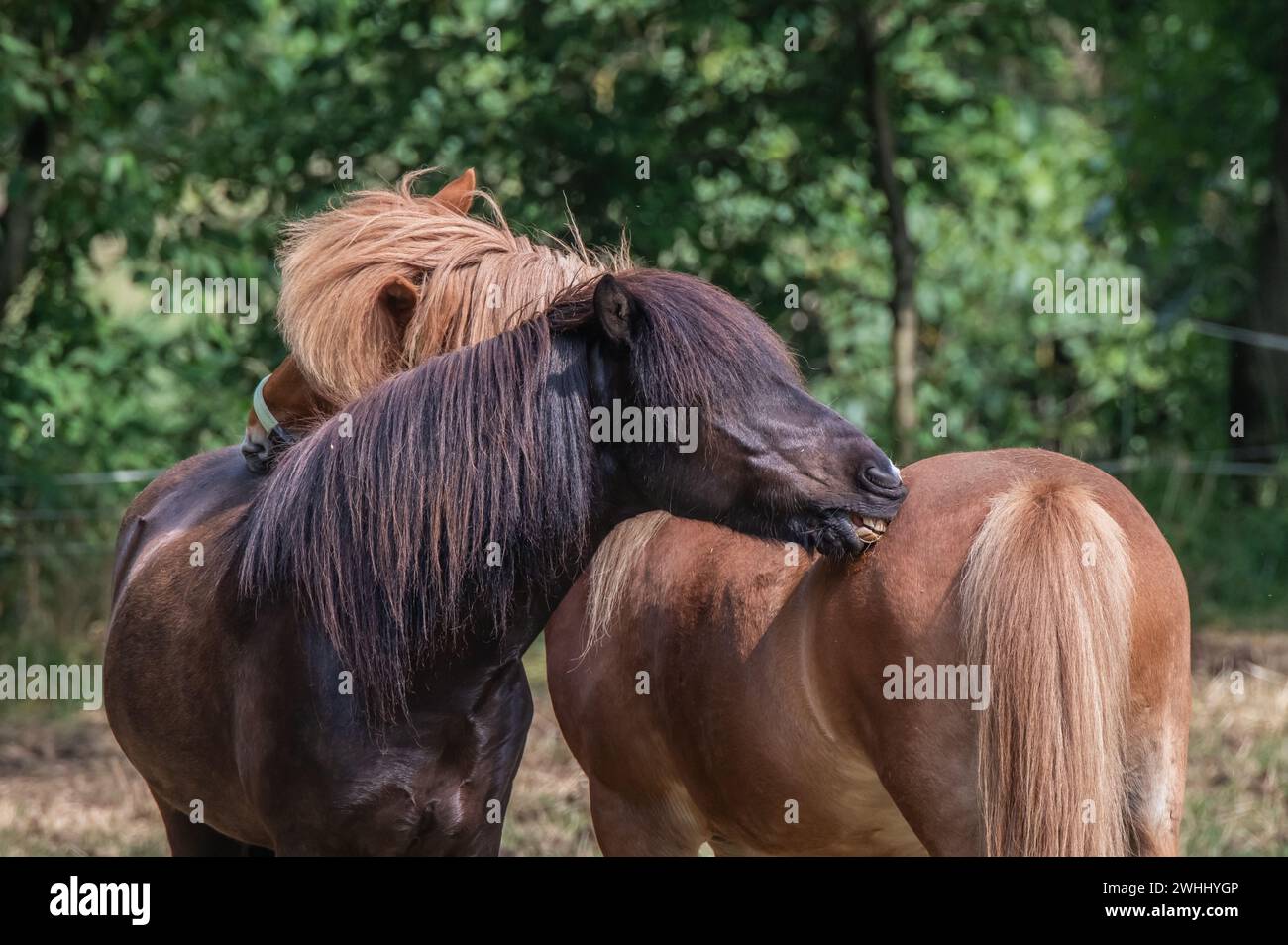 Ka rperstellen hi-res stock photography and images - Alamy