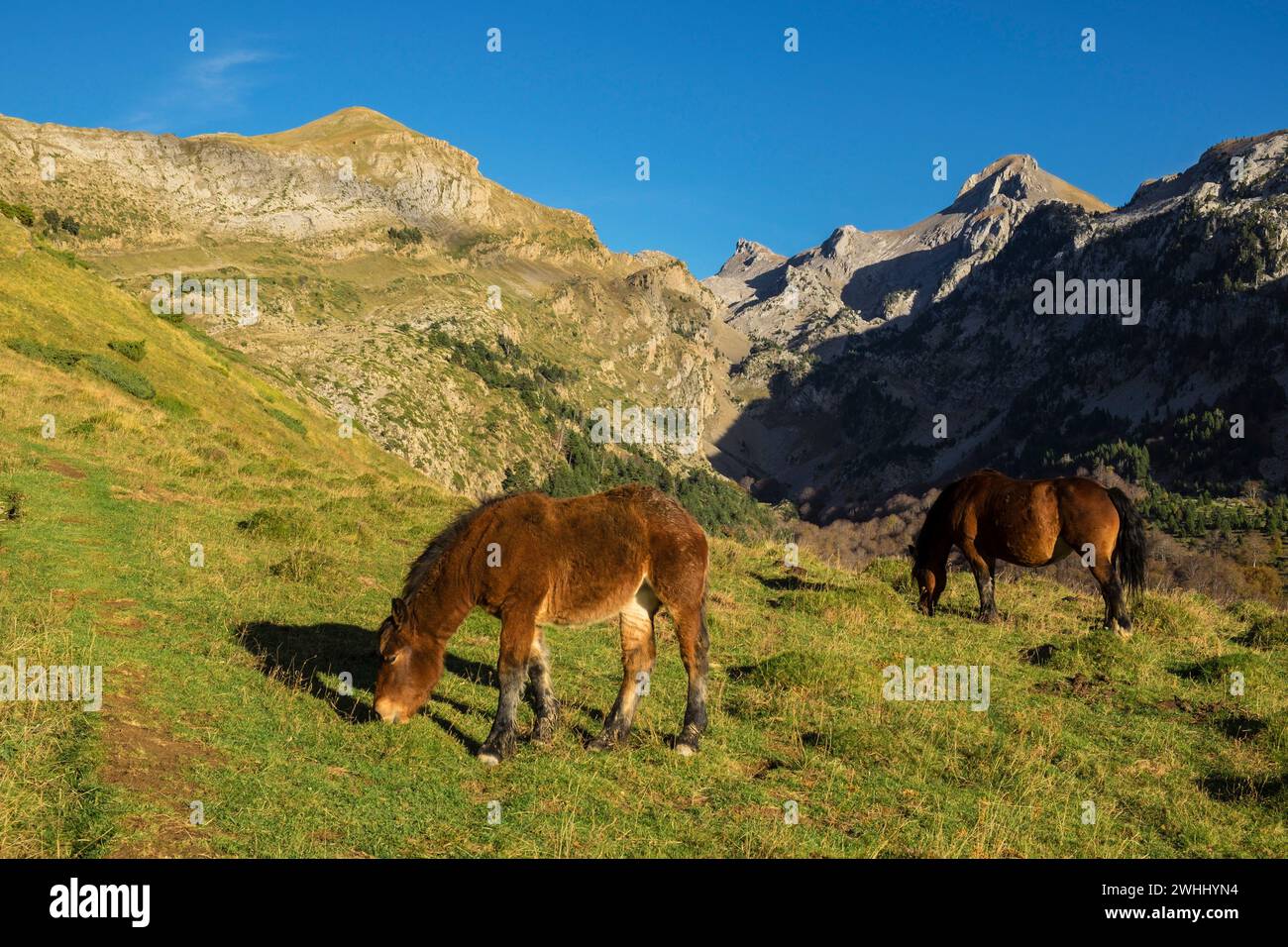 Areas protegidas de los hi-res stock photography and images - Alamy