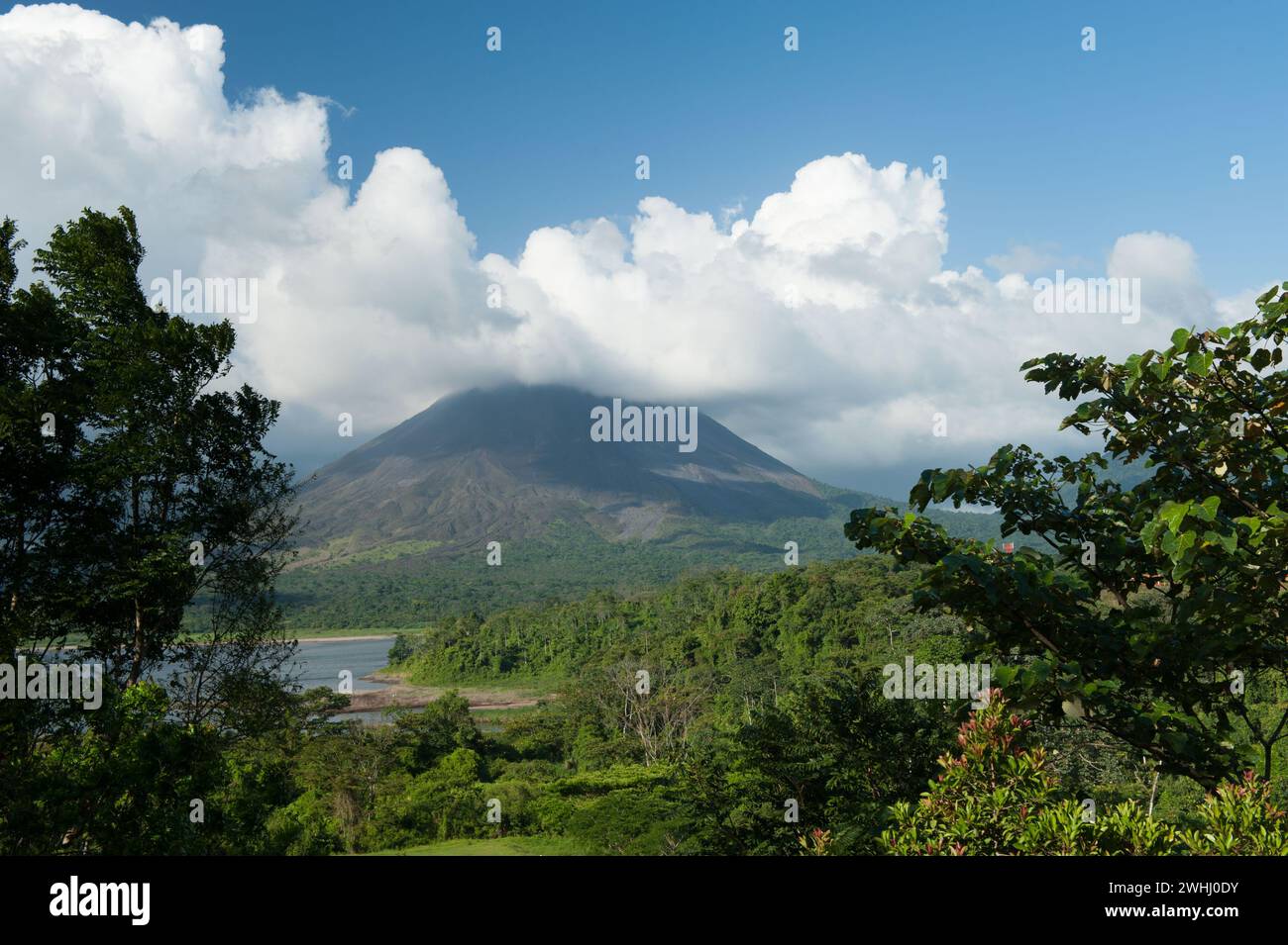 Costa rica landscape flora and fauna hi-res stock photography and ...