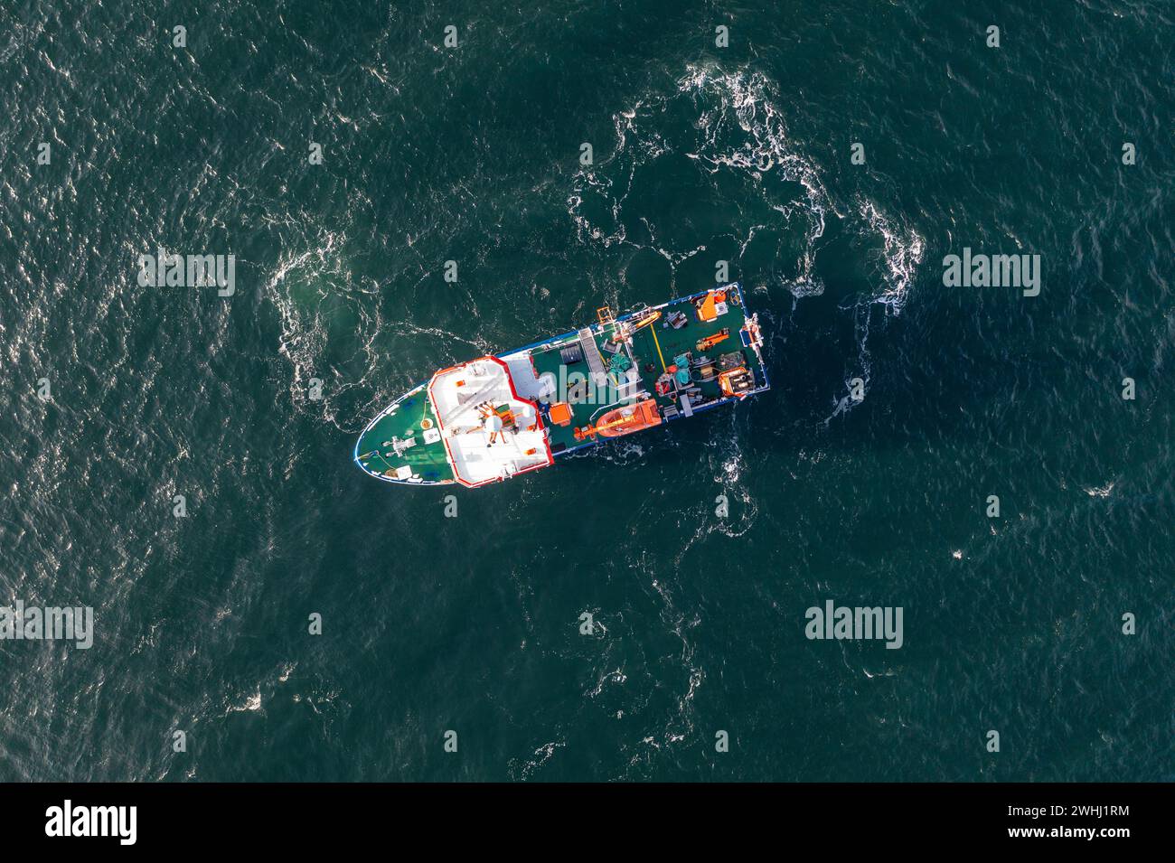 PRODUCTION - 01 February 2024, Mecklenburg-Western Pomerania, Sassnitz ...