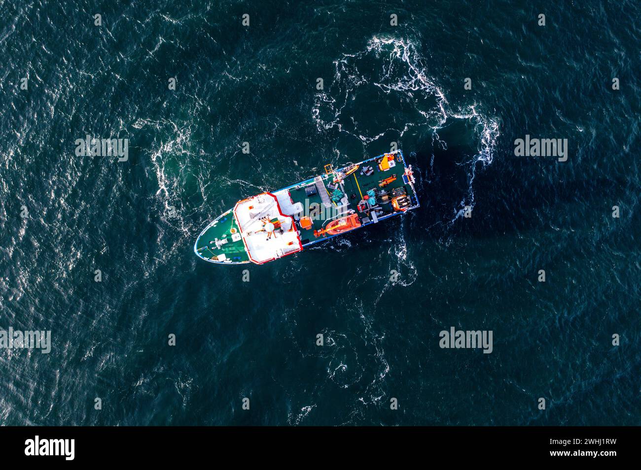 PRODUCTION - 01 February 2024, Mecklenburg-Western Pomerania, Sassnitz ...