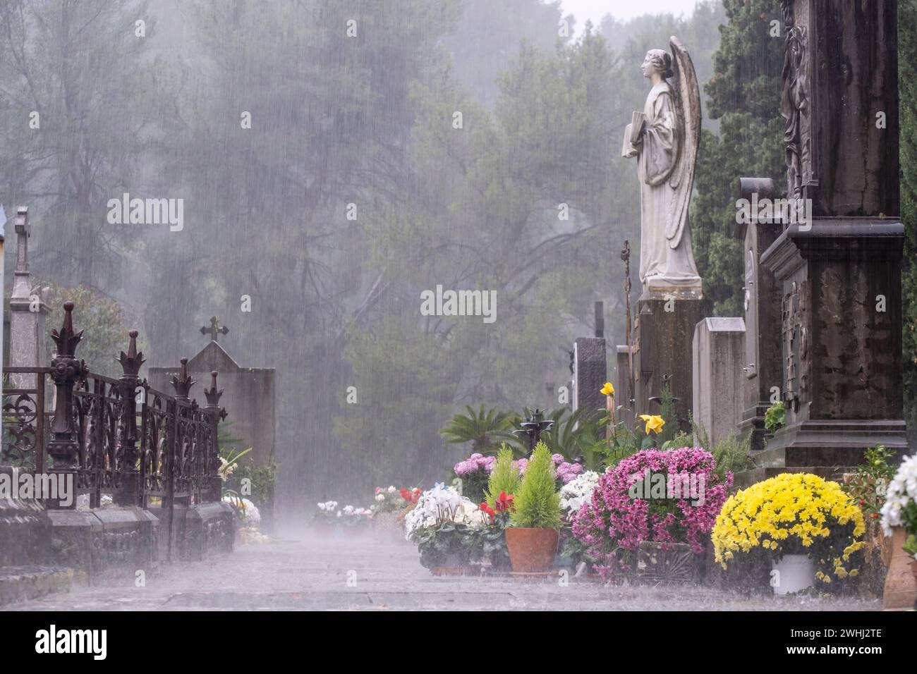 Downpour wet hi-res stock photography and images - Alamy