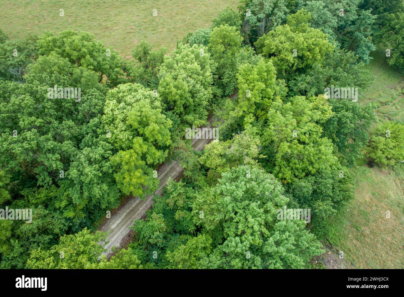 aerial view of Katy Trail near Pilot Grove, Missouri - 237 mile bike ...