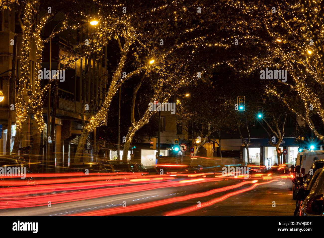 Trees with Christmas lighting Stock Photo - Alamy