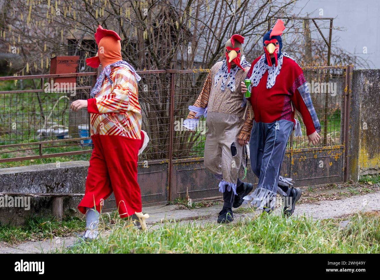 Roosters dance hi-res stock photography and images - Alamy