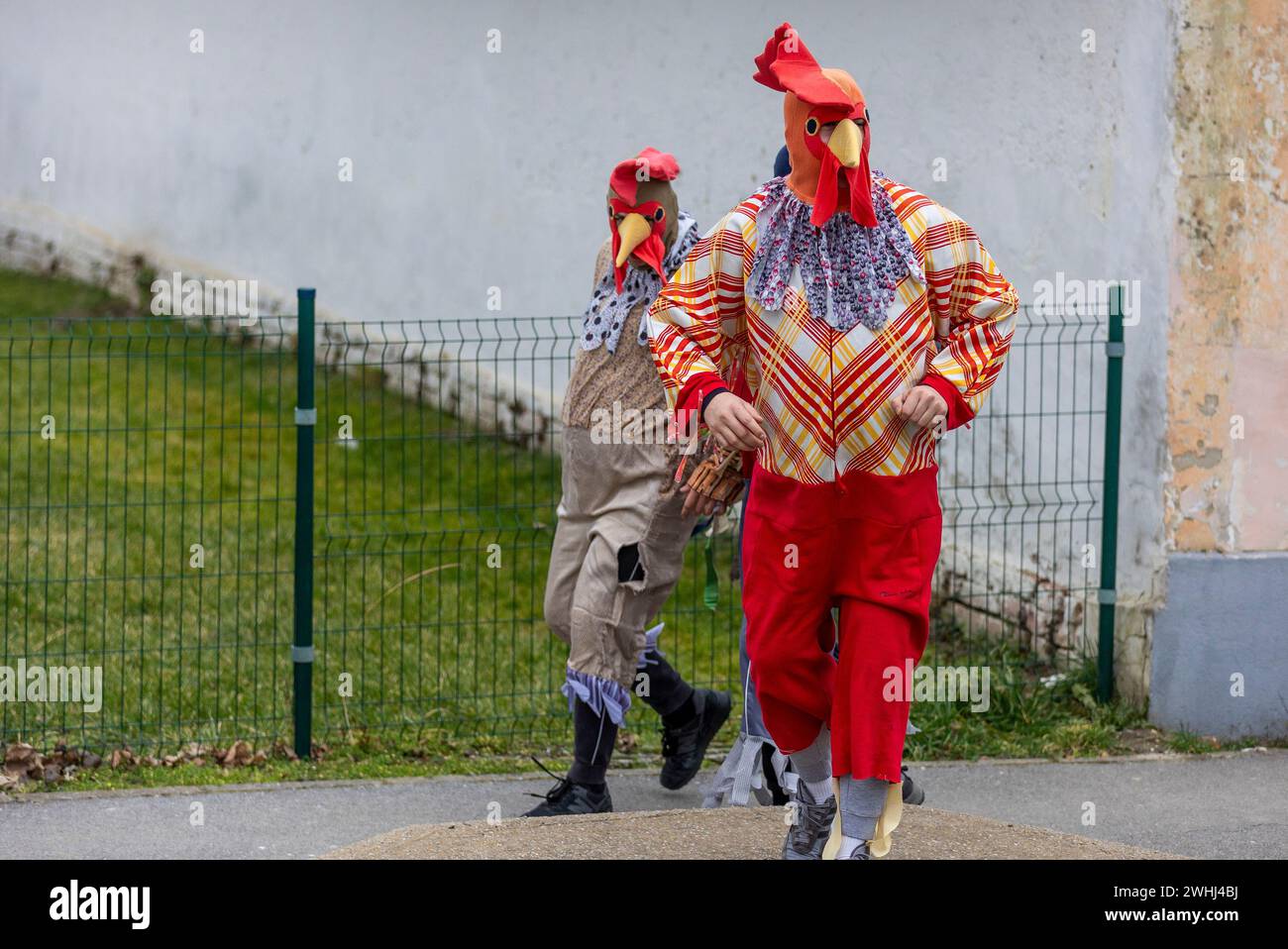 Roosters dance hi-res stock photography and images - Alamy