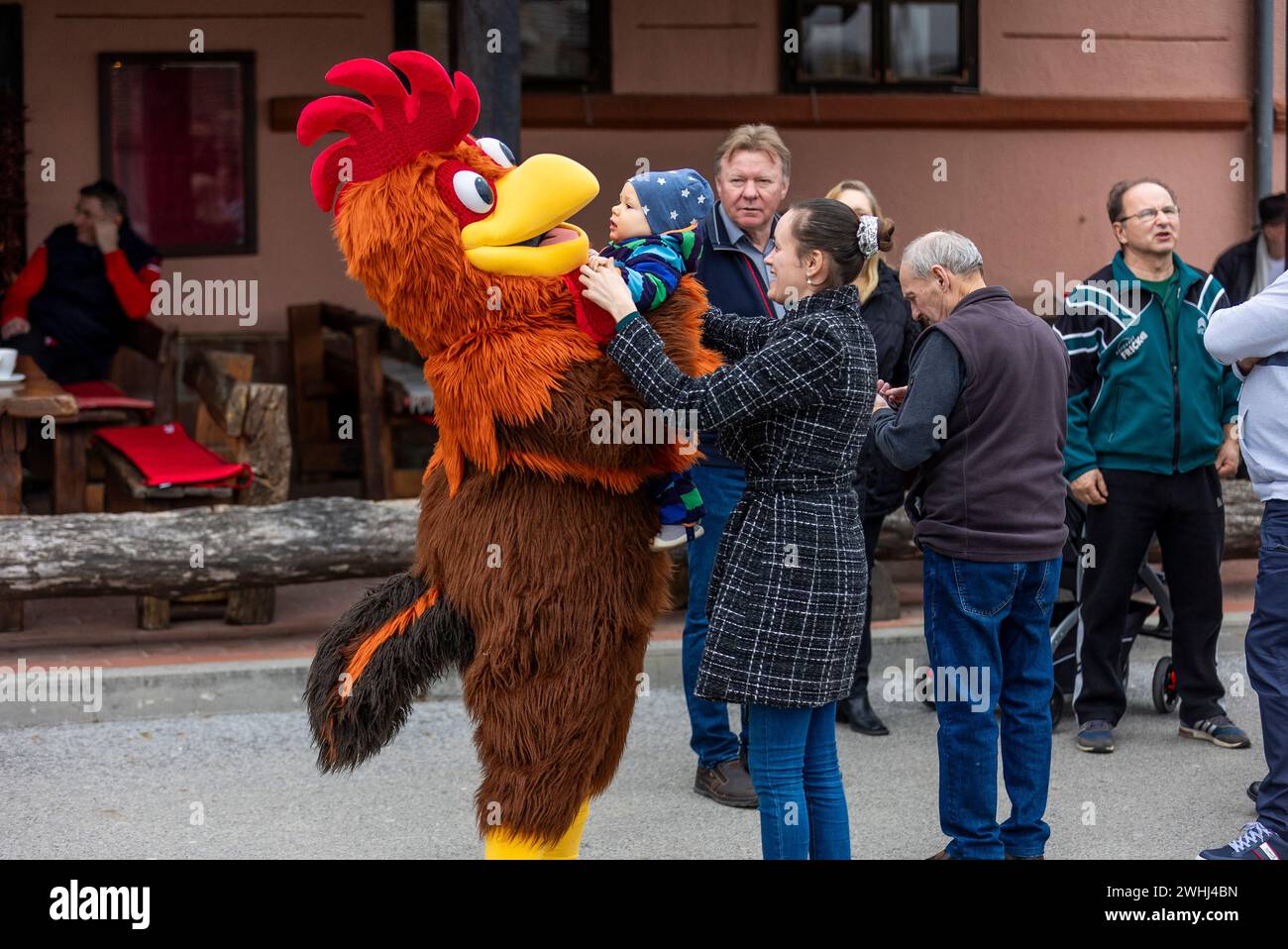 Roosters dance hi-res stock photography and images - Alamy