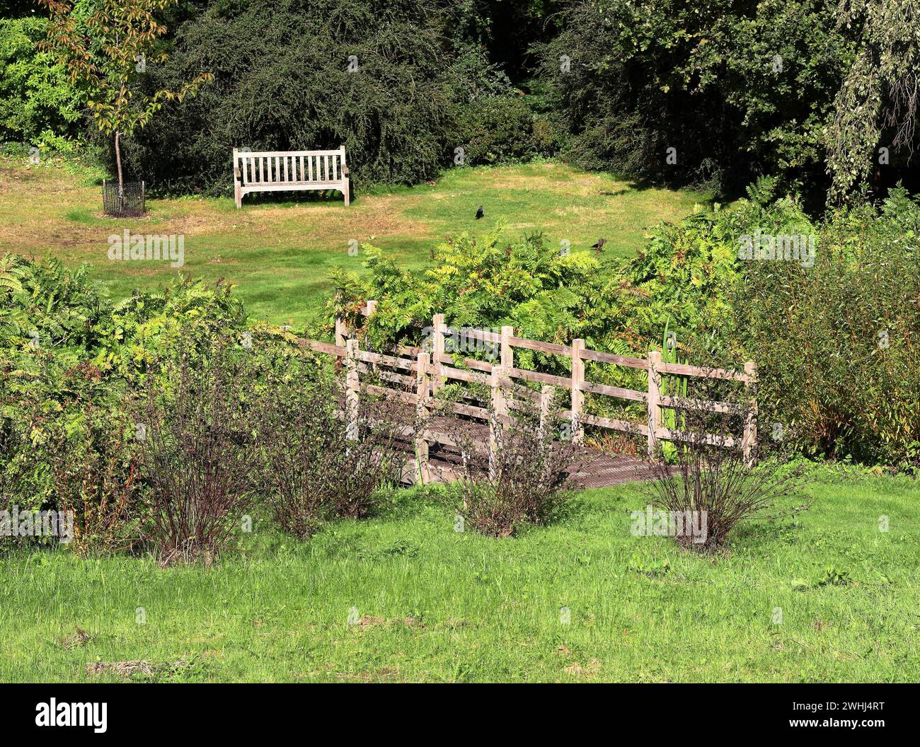 An English landscape garden with wooden footbridge over a stream and ...