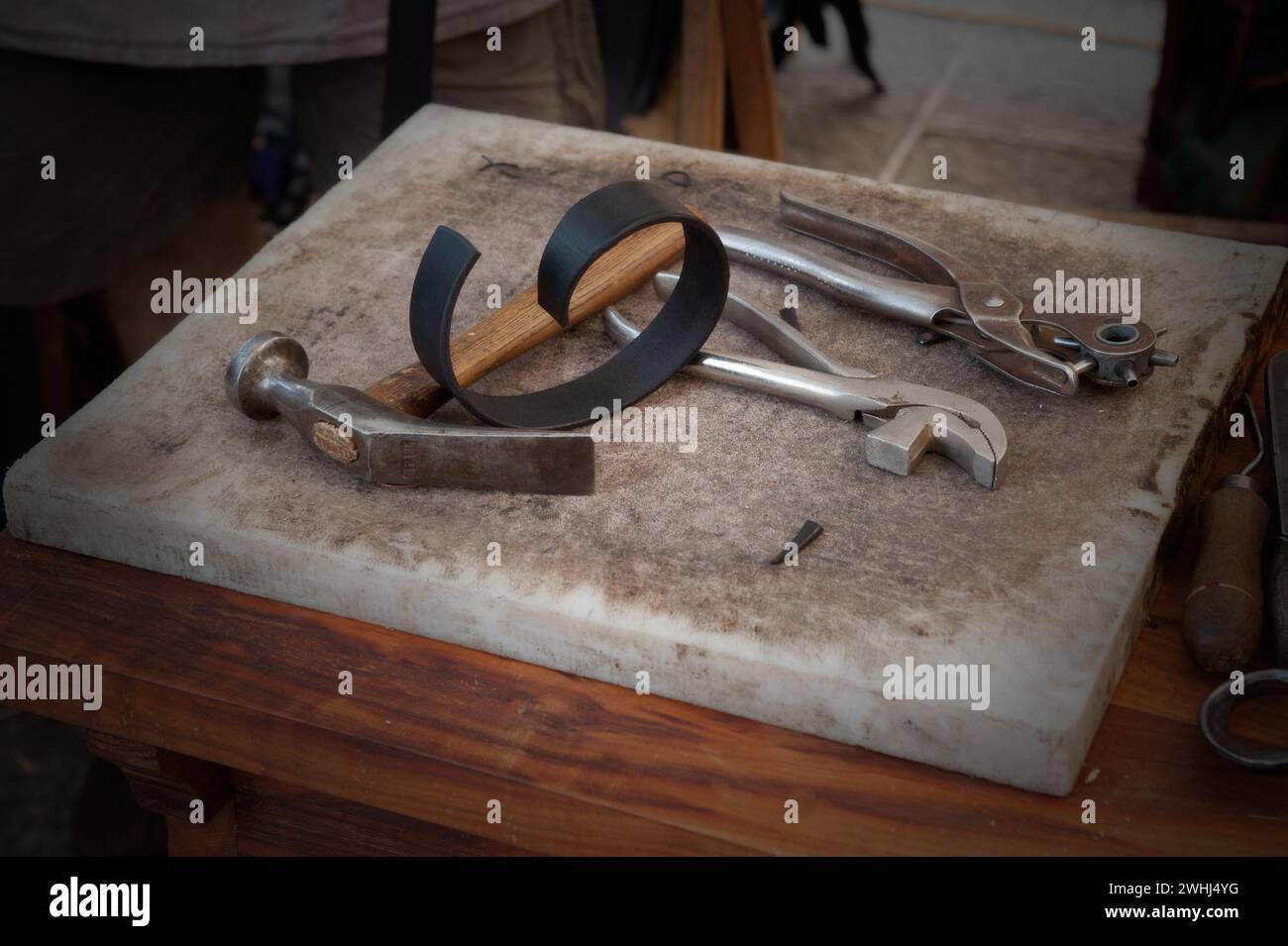 Herramienta animal hi-res stock photography and images - Alamy