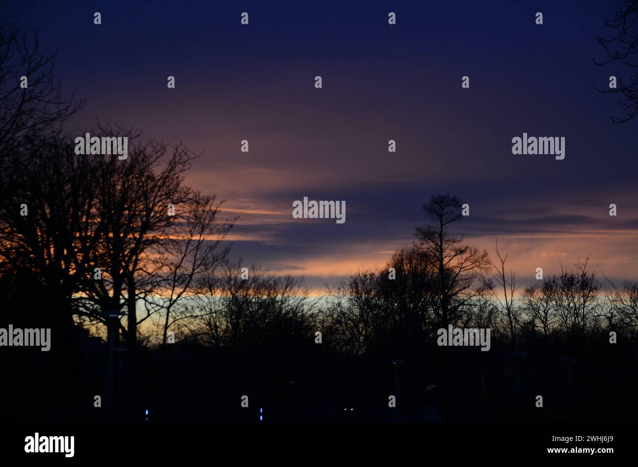 silhouetted trees and a beautiful colour filled sky at sunset in london ...