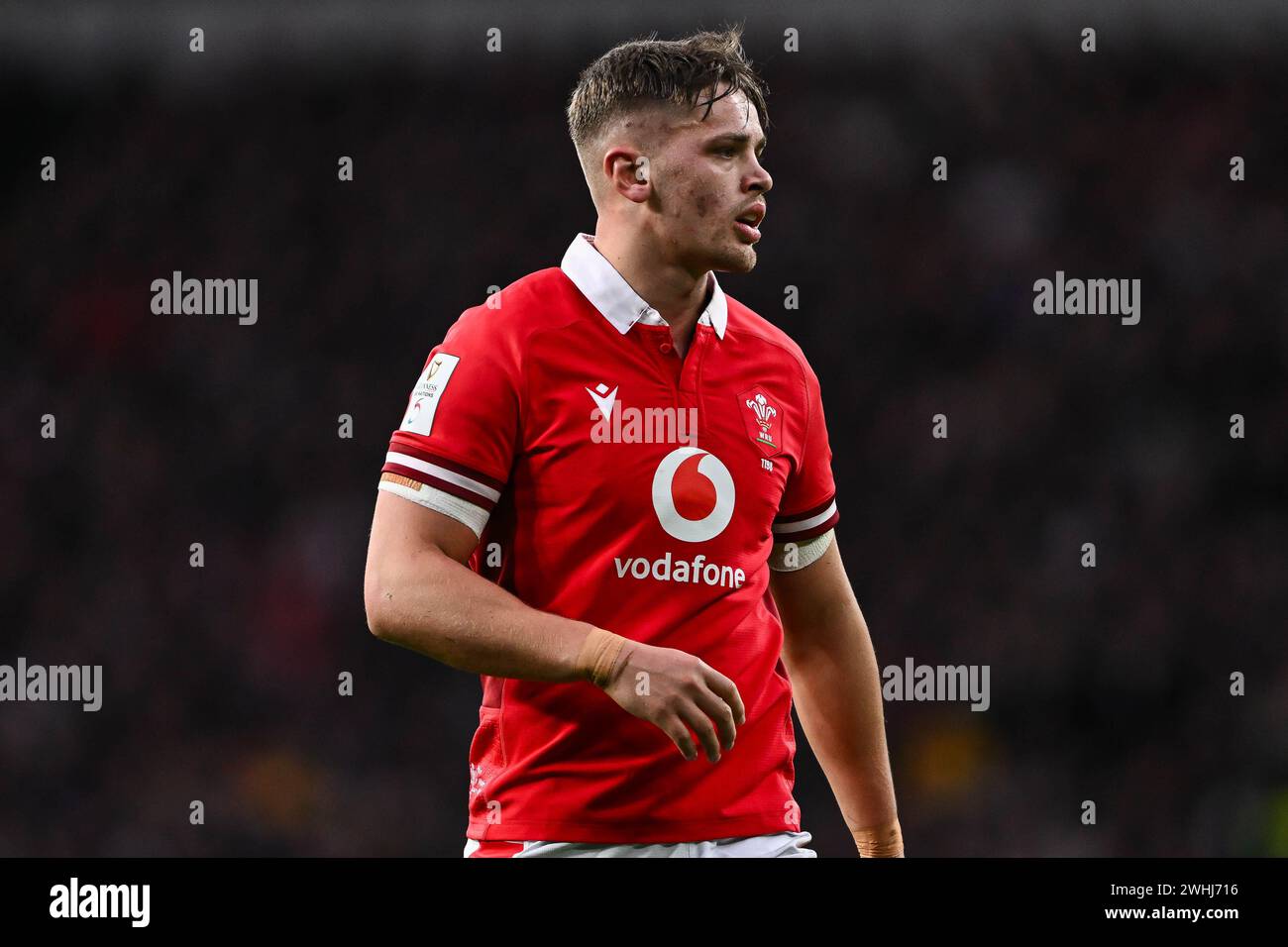 Alex Mann of Wales during the 2024 Guinness 6 Nations match England vs ...