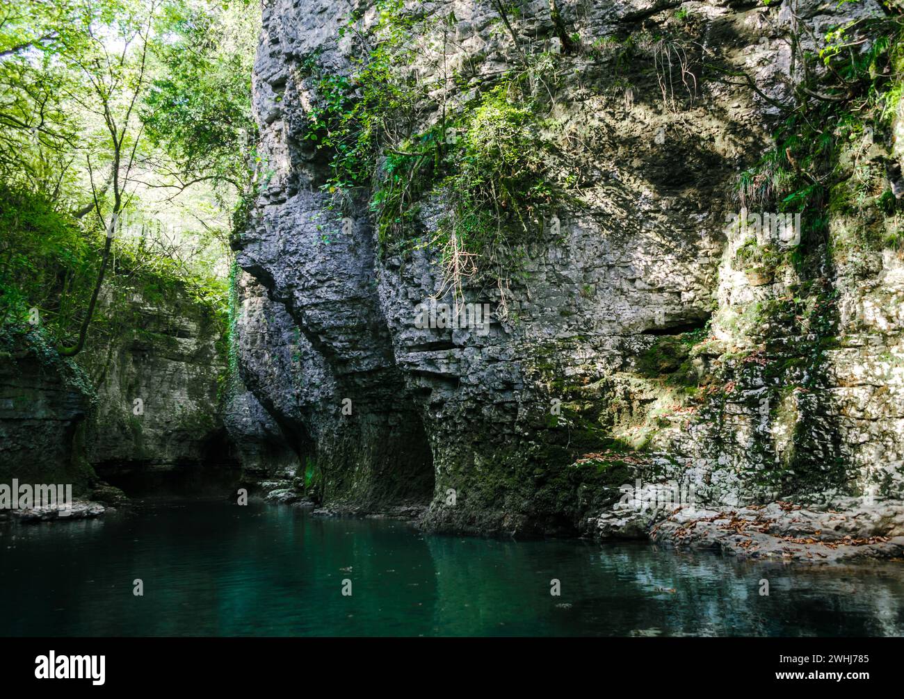 Mountain river with tall cliffs and green plants in a canyon in Georgia ...