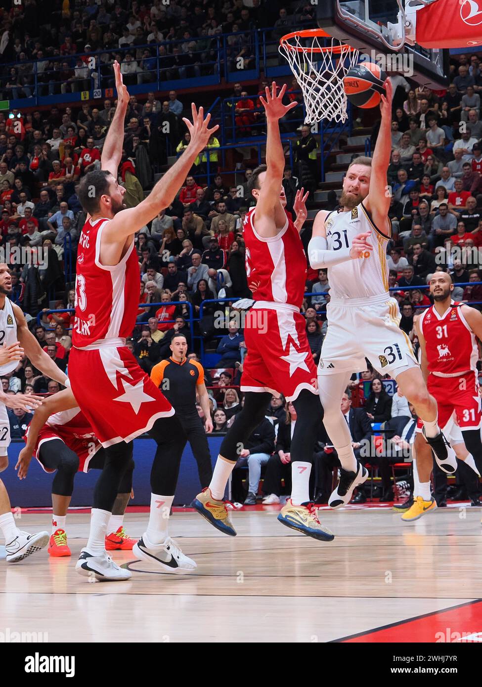 Musa milano hi-res stock photography and images - Alamy