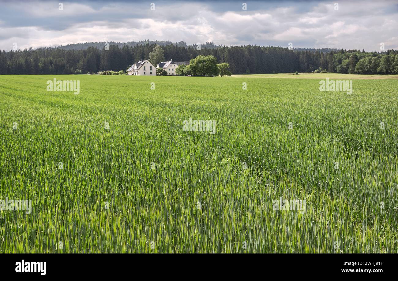 Field behind houses hi-res stock photography and images - Alamy