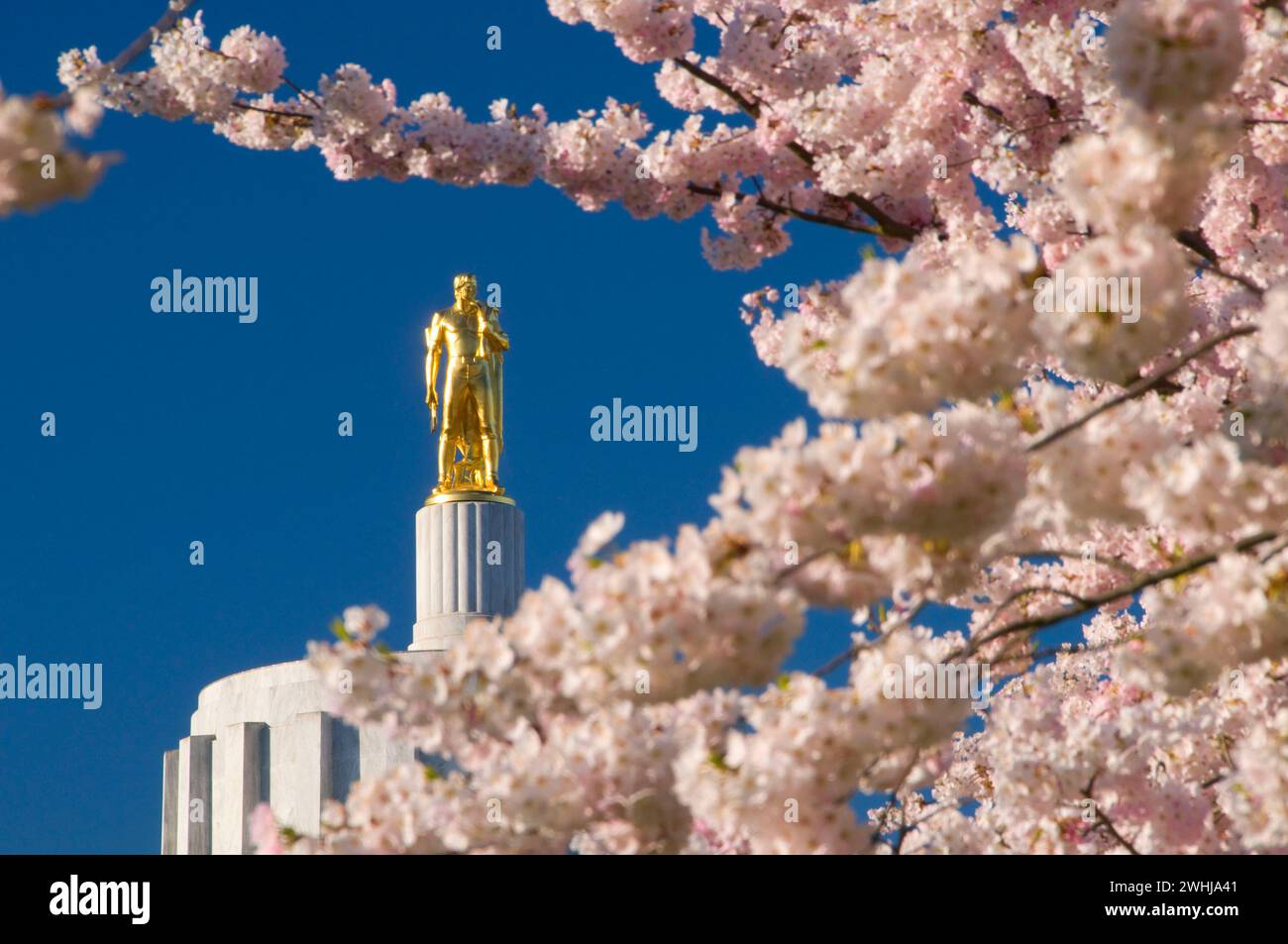 Oregon Pioneer statue (Capitol Dome) with cherry blossoms, State ...