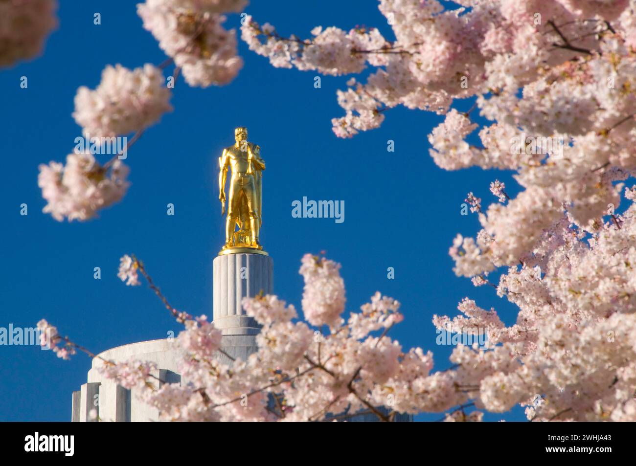 Oregon Pioneer statue (Capitol Dome) with cherry blossoms, State ...