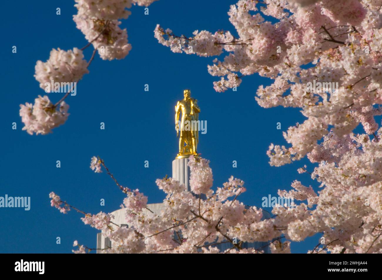Oregon Pioneer statue (Capitol Dome) with cherry blossoms, State ...