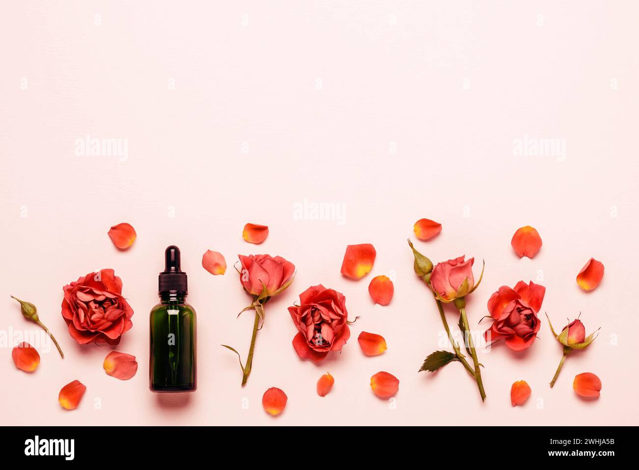 Delicate pink background with roses, petals and essential oil Stock ...