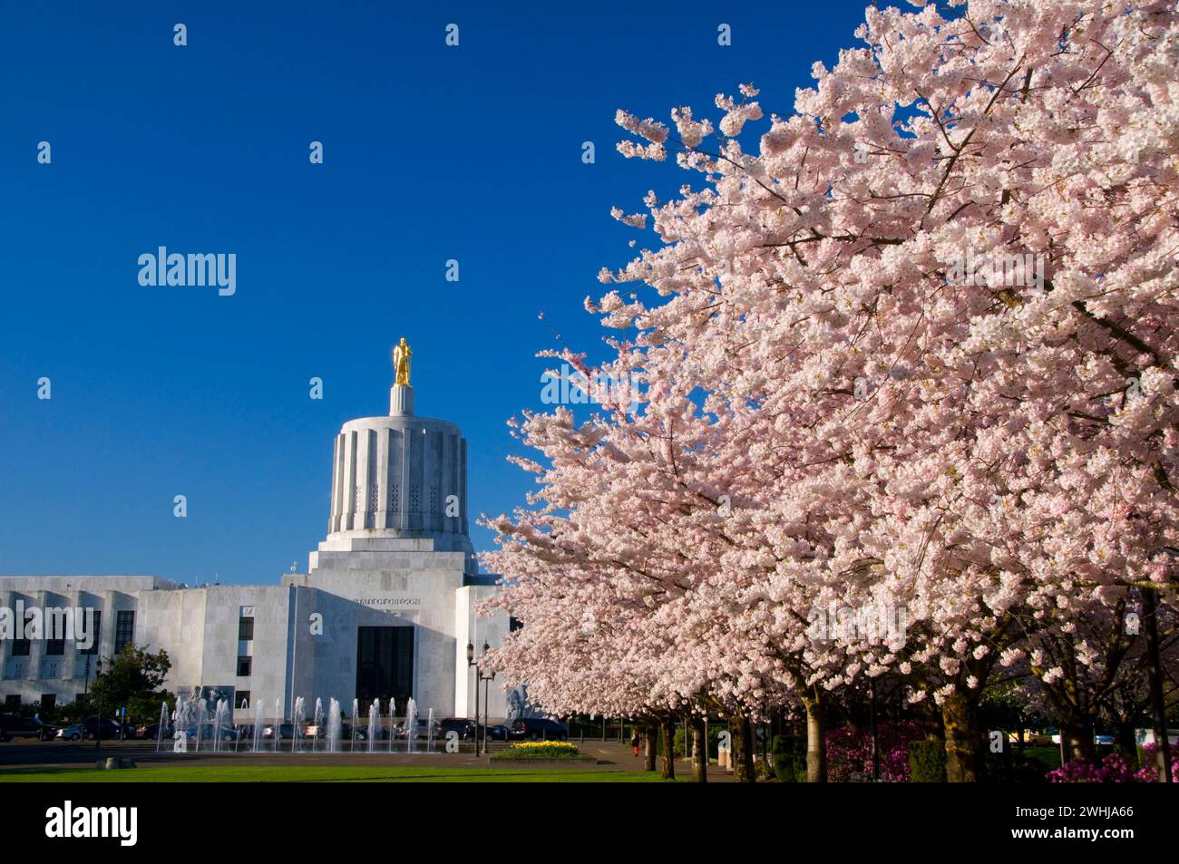 Oregon State Capitol with cherry blossoms, State Capitol State Park ...