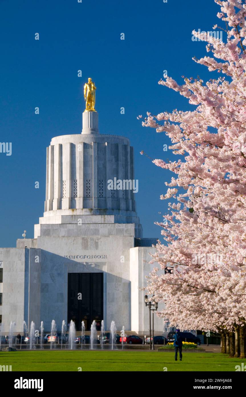 Oregon State Capitol with cherry blossoms, State Capitol State Park ...