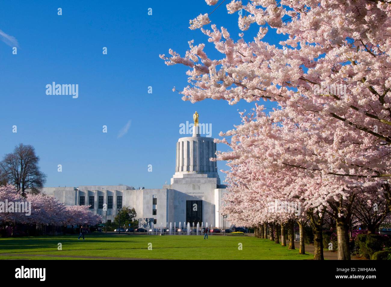 Oregon State Capitol with cherry blossoms, State Capitol State Park ...