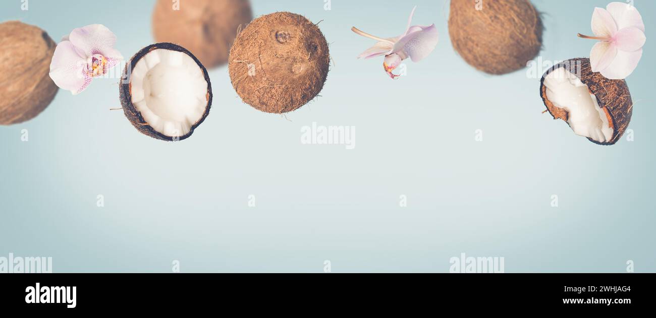 Blue tropical summer background with falling coconuts Stock Photo - Alamy
