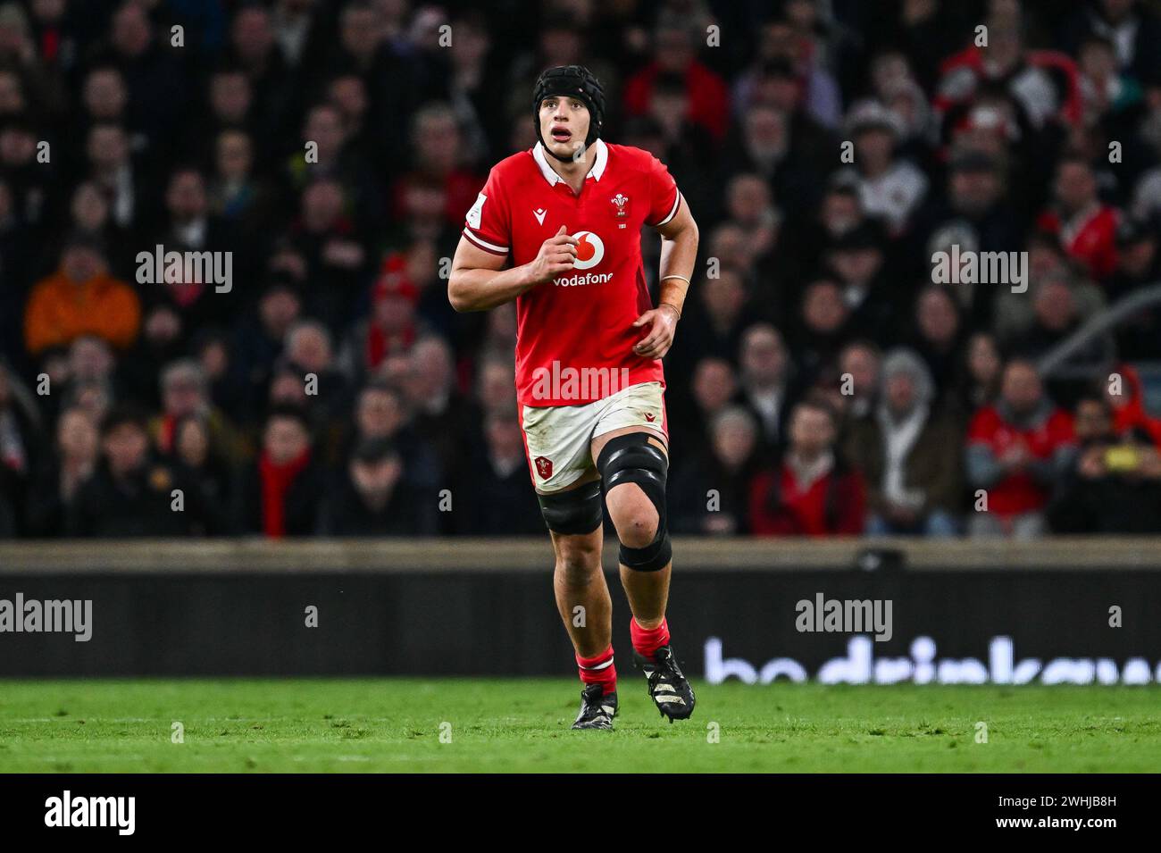 Dafydd Jenkins of Wales during the 2024 Guinness 6 Nations match ...