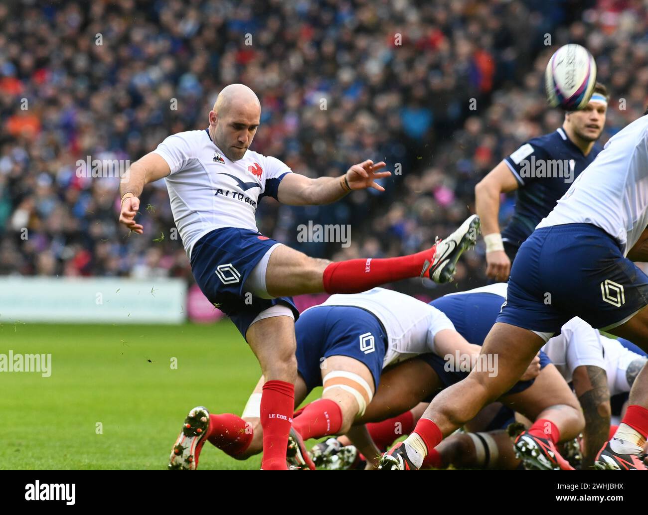 Lucu hi-res stock photography and images - Alamy