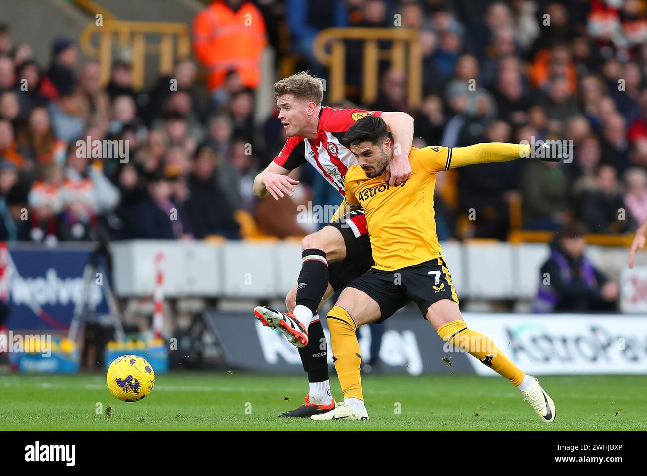 Pedro neto 2024 wolves hi-res stock photography and images - Alamy