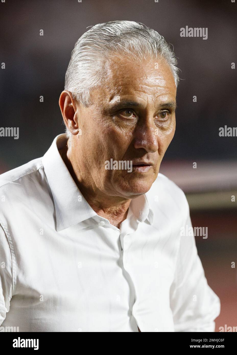 Brazil coach tite hi-res stock photography and images - Alamy