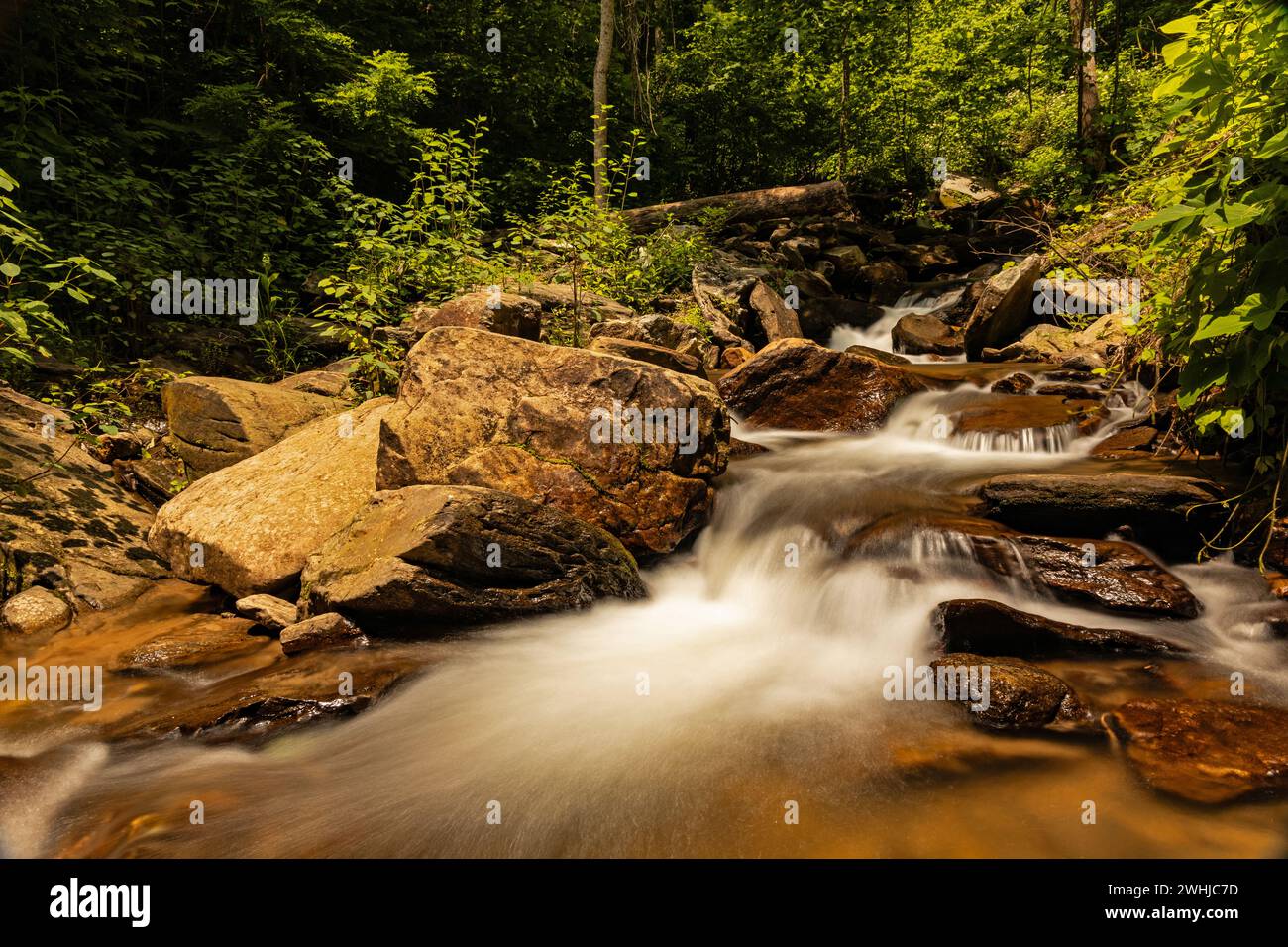 Cascade in the Amicalola state park in Georgia Stock Photo - Alamy