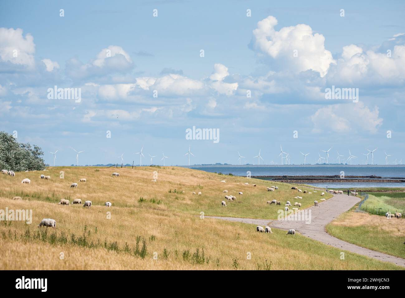 Island crest park hi-res stock photography and images - Alamy