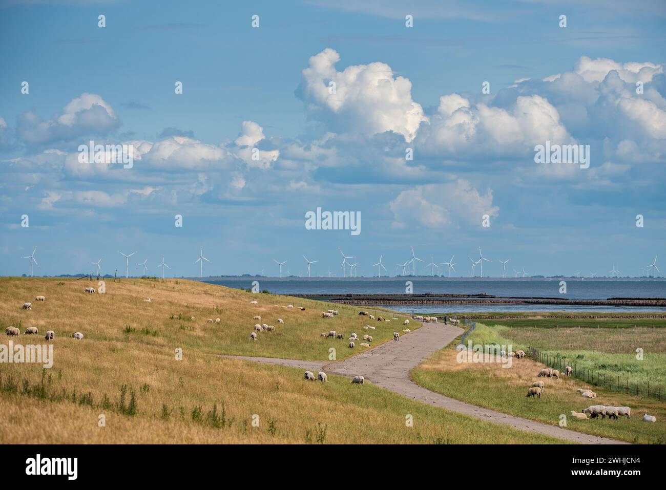 Island crest park hi-res stock photography and images - Alamy