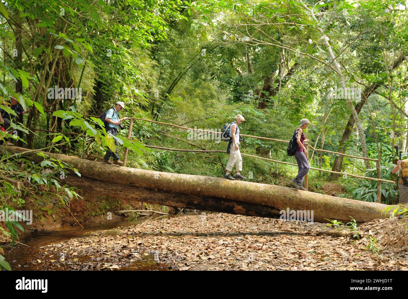 Hikers at Cuba's Nationalpark Altiplano Topes des Collantes | Wanderer ...