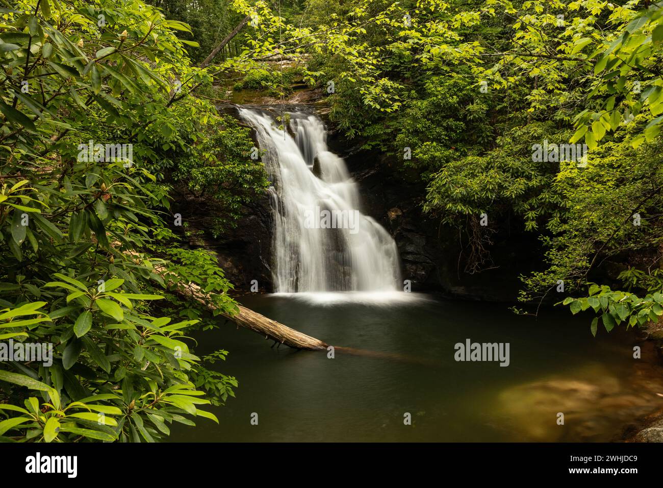 Blue hole falls georgia hi-res stock photography and images - Alamy