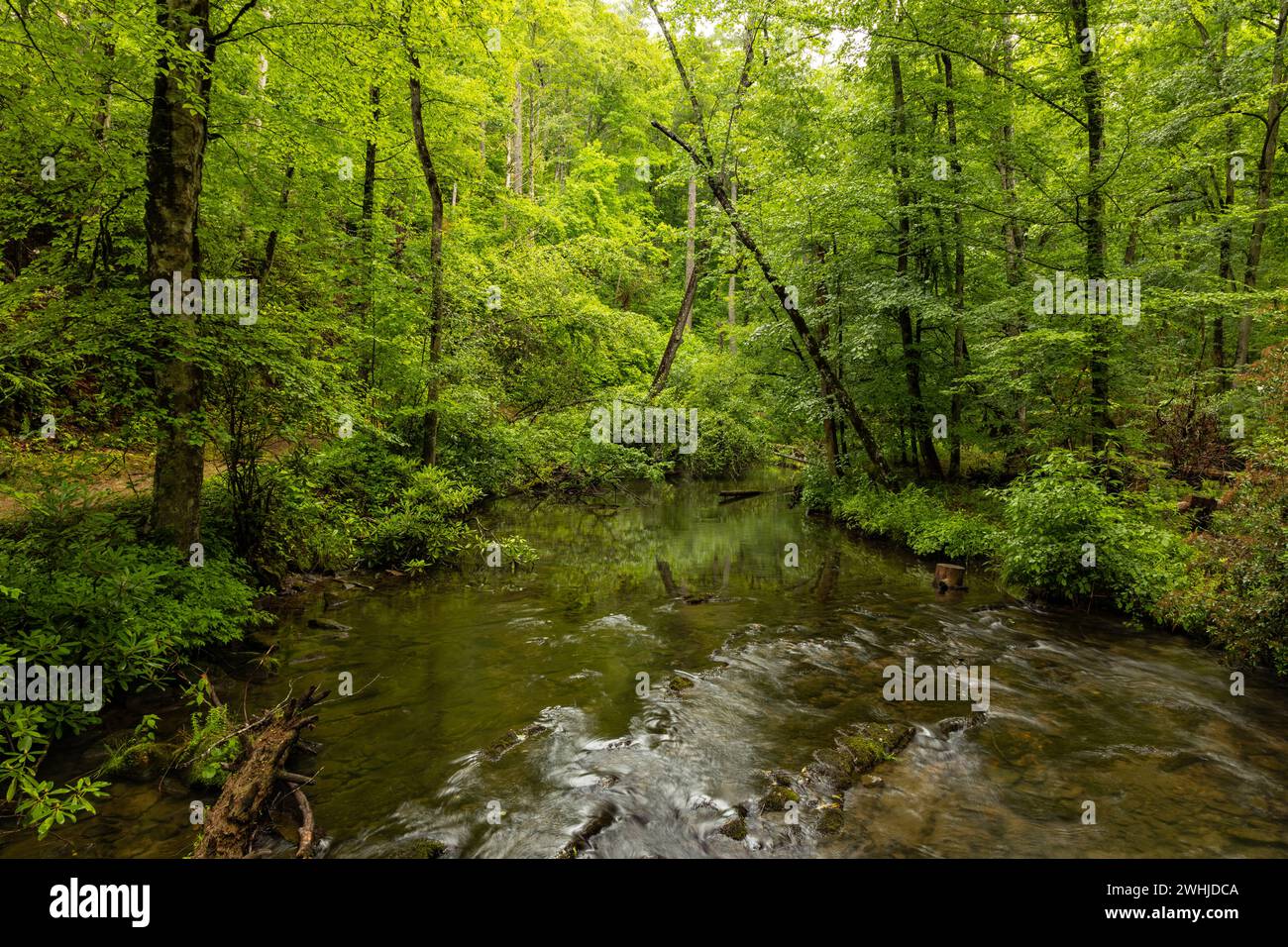 Abrams Creek near Cades Cove in the Great Smoky Mountains National Park ...