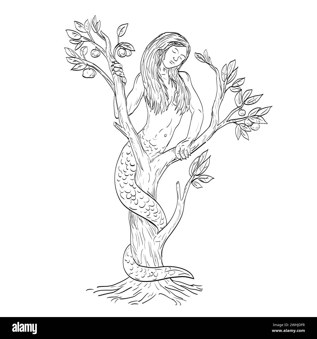 Draconcopedes Curled in Tree Medieval Style Line Art Drawing Stock ...