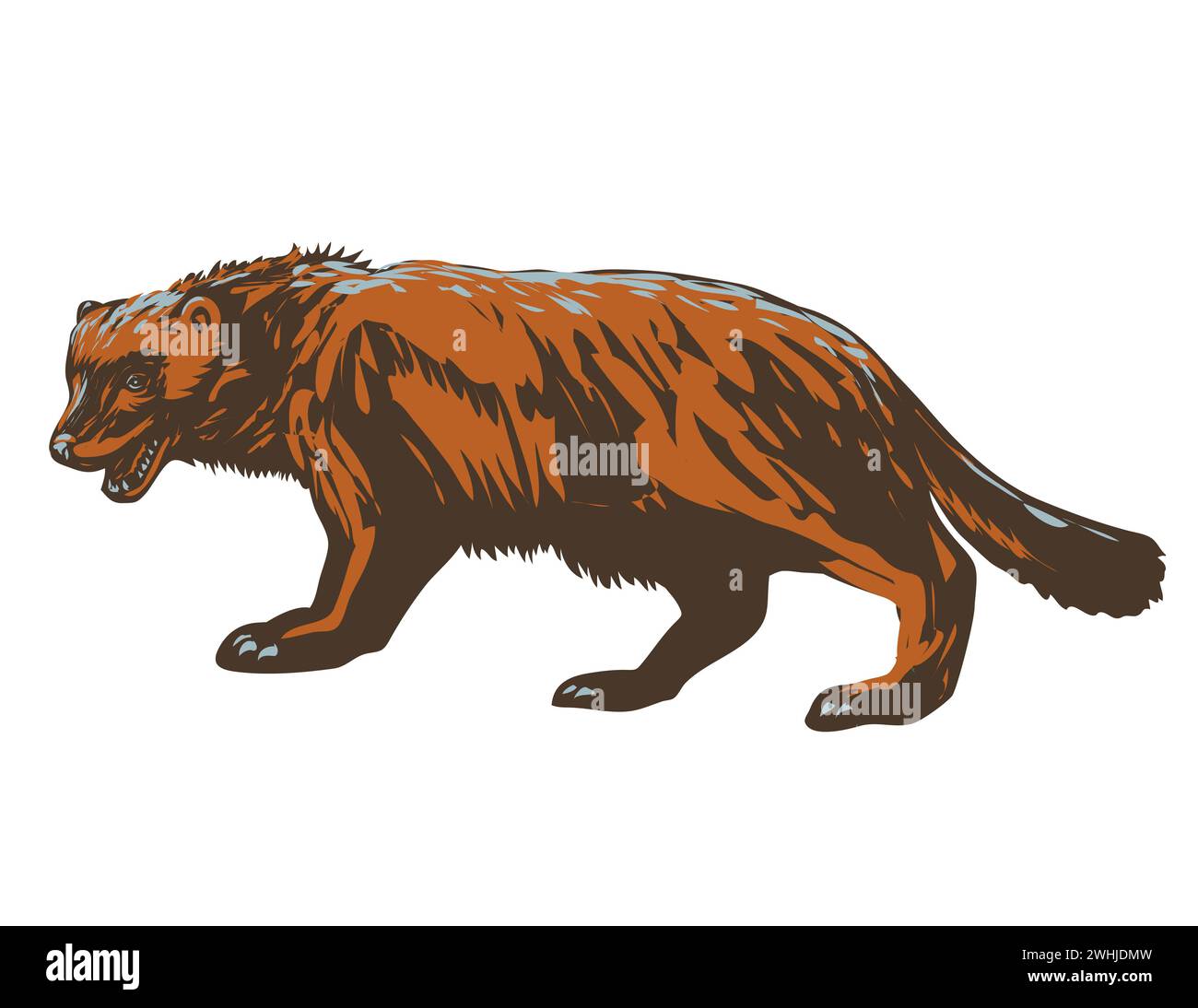 Wolverine Side View WPA Poster Art Stock Photo - Alamy