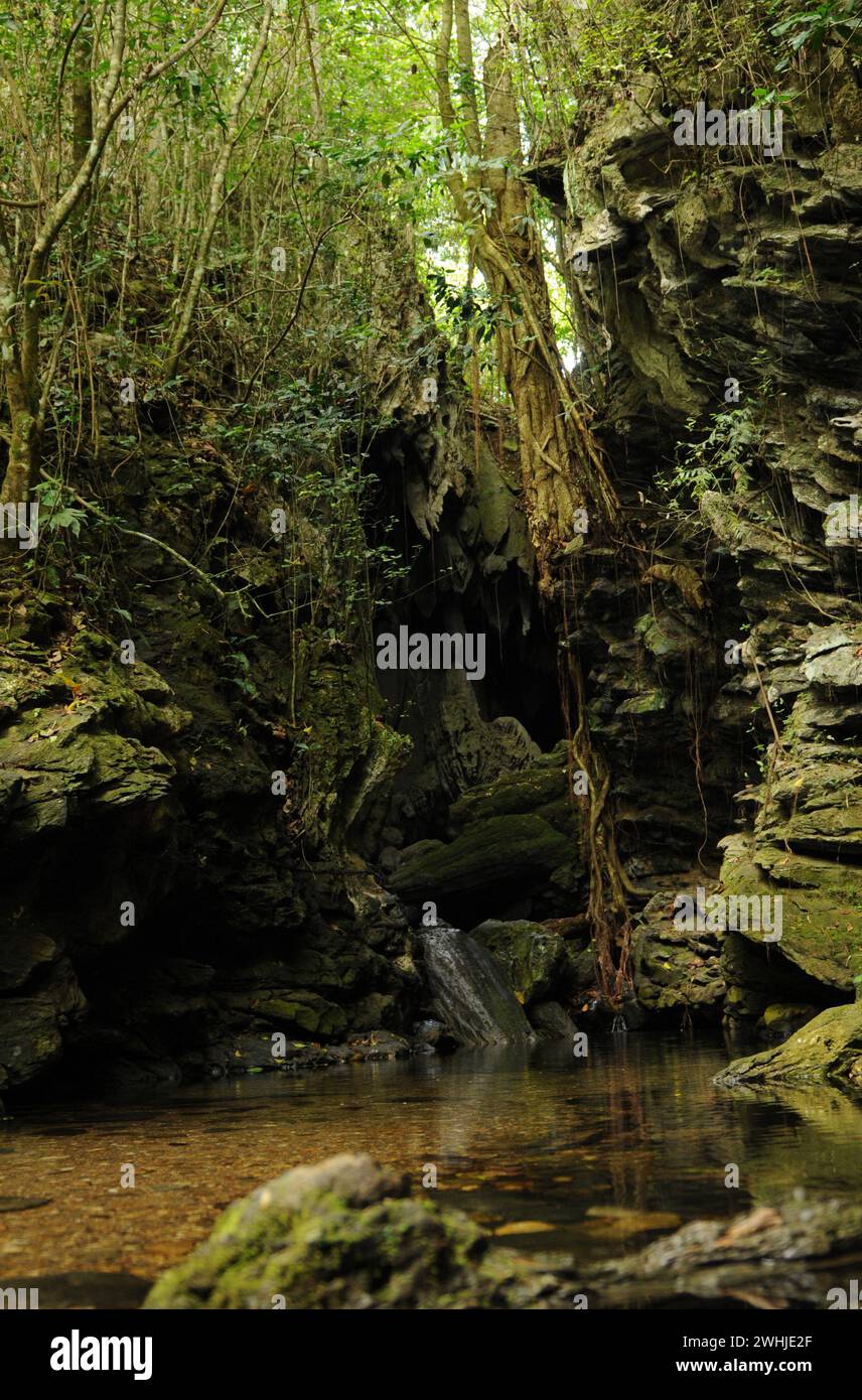 Wasserquelle im Nationalpark Altiplano Topes des Collantes. Watersource ...