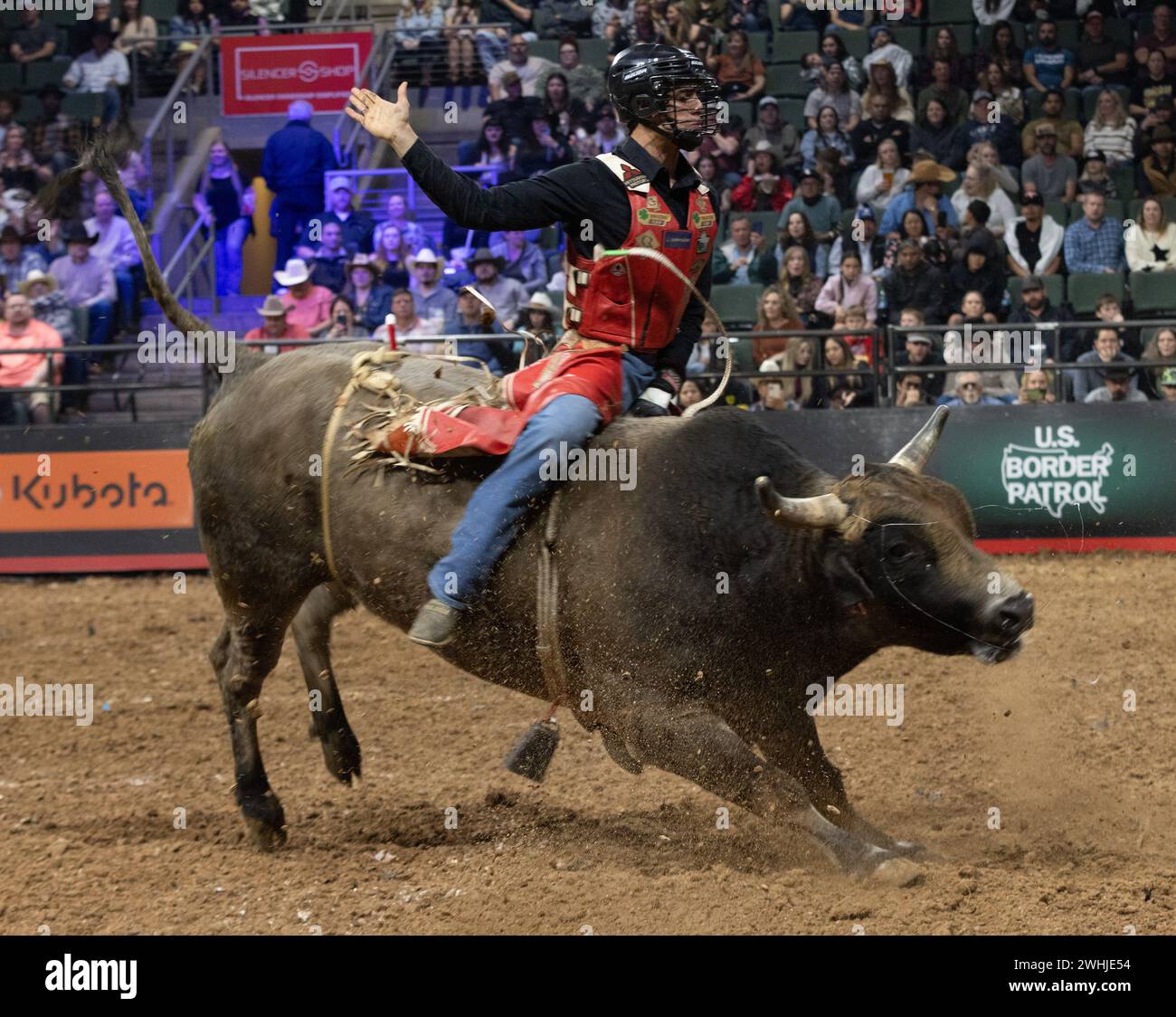 Zampollo hi-res stock photography and images - Alamy